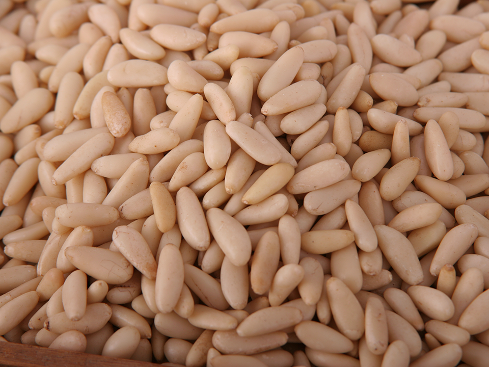 Pinhão de 1ª em miolo - Confeitaria - Casa Januário